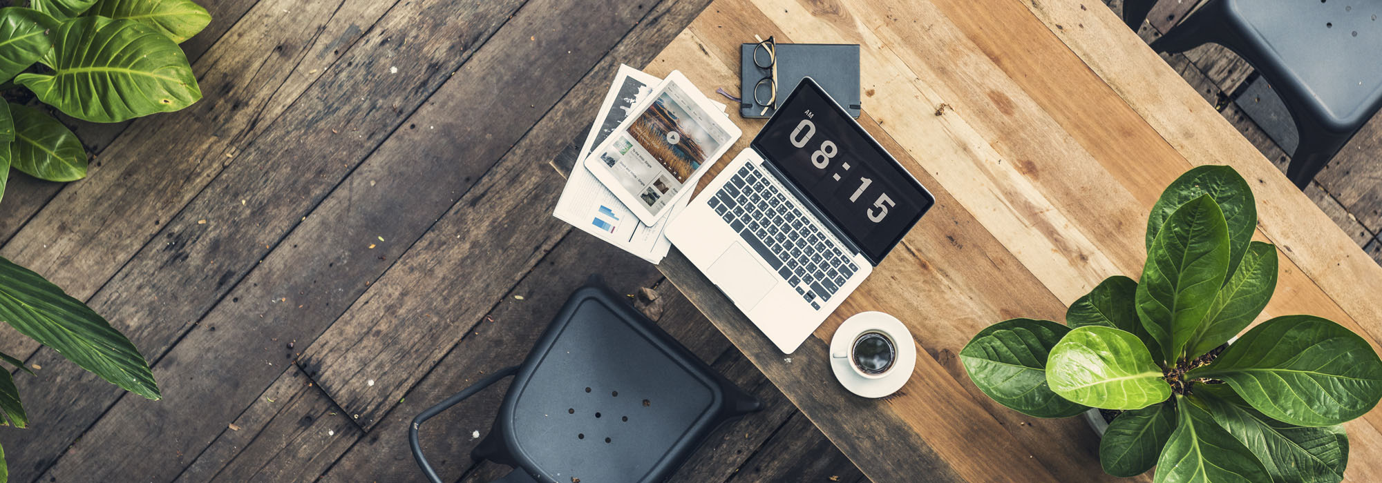 Interior Plants - Flora-tec