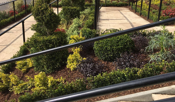 About Us - Flora-tec