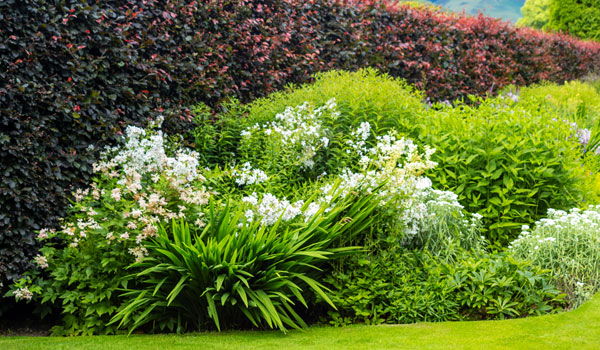 About Us - Flora-tec